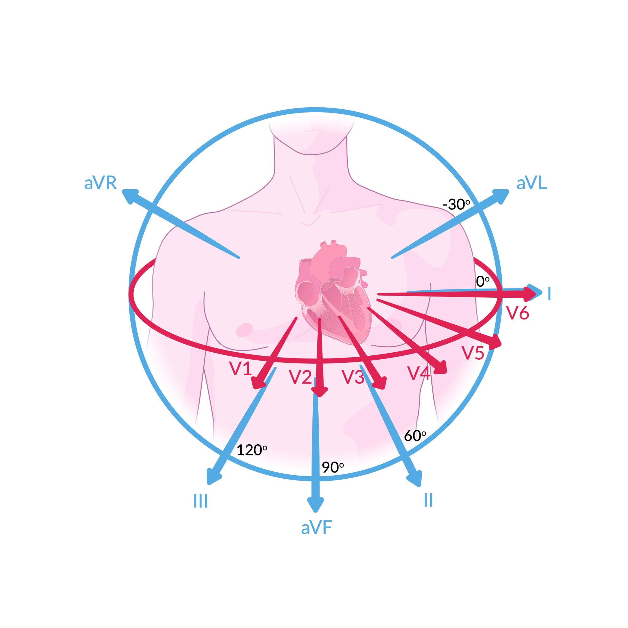 Hoe beoordeel je een ECG? | Systematisch stappenplan