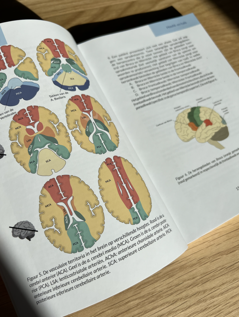 Antwoorden CVA | Geneesleer